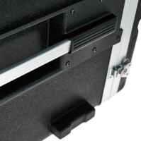 China 4 Twist Locks Black Rack Mount Case 17