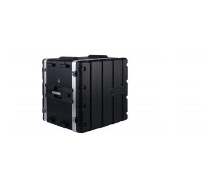 China ABS 12U 19 Inch Rack Case with 2 Carry Handles and 4 Twist Locks for sale