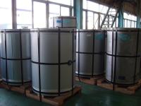 China DX51D+Z Galvanized Steel Coil And Sheet With Pure Zinc For Construction / Base Metal for sale