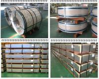 China 600mm - 1500mm Width Hot Dip Galvanized Steel Coil For Construction & Base Metal for sale