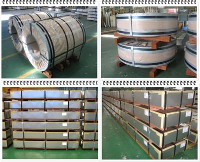 China 600mm - 1500mm Width Hot Dip Galvanized Steel Coil For Construction & Base Metal for sale