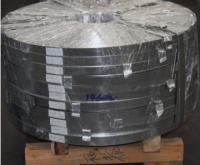 China Cutting Regular Spangle Hot Dip Galvanized Steel Strip for sale