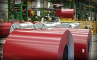China 610mm RAL Color Galvanized Prepainted Steel Coils with Protective Film for sale