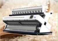 China Coreprogram 12 Chutes RGB Color Sorter High Capacity Rice Sorting Machine 6-13 t/h 8.3 Kw for sale