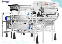 China Double Layer Belt Type Fish Shrimp Sorting Machine 5400 Pixels 220V 50Hz for sale