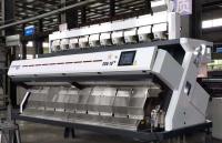 China Intelligent CCD Camera Peanut Color Sorter Machine 0.8-13 t/h Capacity 220V for sale