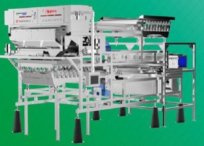 China Fresh / Dehydrated Chilli Sorting Machine Belt Type 500 - 750Kg/h for sale
