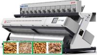 China 12 Chute Peanut Color Sorter / Cashew Colour Sorting Machine 1 year Warranty for sale