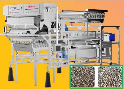 China Melon Seeds / Nuts Color Sorter High Output 8.75kw 220V With Microsoft Software for sale