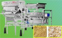 China Garlic Granules Grain Sorting Machine with HD Camera 220V 50Hz 2.9-9.5kW for sale