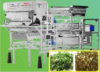 China RGB Vegetable Sorting Machine 2.0 t/h Quality Components for Chopped Scallion Color Sorter for sale