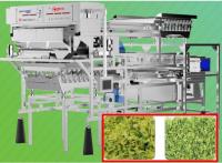 China 2.0T/H Vegetable Sorting Machine 5400 Pixel Precise Target Positioning for Cabbage for sale
