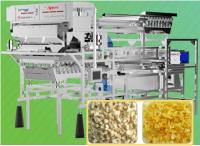 China Dehydrated Apple Color Sorter 1.5 T/H Granules Sorting Machine 220V 50Hz for sale