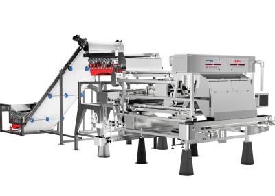 China Dehydrated Chili Vegetable Color Sorter 1.0 T/H 2560Kg Altera Processor for sale
