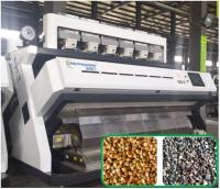 China Buckwheat Color Sorter Intelligent Removal 0.6-13 t/h 220V/50Hz for Fagopyrum Esculentum for sale