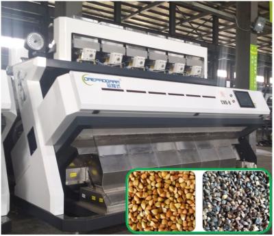 China Buckwheat Color Sorter Intelligent Removal 0.6-13 t/h 220V/50Hz for Fagopyrum Esculentum for sale