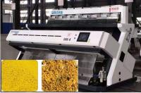 China Yellow Millet Grain Color Sorter 5400 Pixel 2170kg with Toshiba Sensor Chips for sale