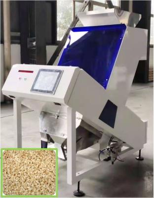 China White Sesame / Grain Color Sorter  80 Channels Intelligent Removal for sale