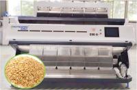 China 384 Channel Infrared Sorting Machine 3-6 T/H Capacity 4.2kw 220V for Nuts for sale