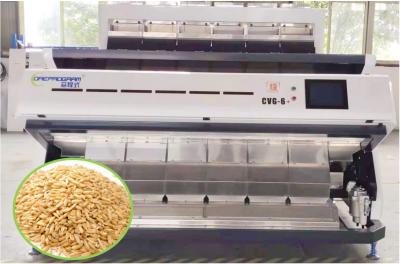 China 384 Channel Infrared Sorting Machine 3-6 T/H Capacity 4.2kw 220V for Nuts for sale