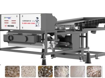 China Single Layer 3-8 cm Crude Salt Color Sorter with FPGA Processor 5400 Pixel CCD for sale