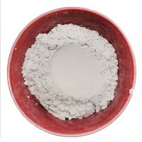 China Discover the Versatility of 100Mesh 200 Mesh 325mesh Diatomite Powder for sale