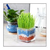 China Colorful Balls for Horiculture and Hydroponics Horticutlure Color Ceramsite Clay Balls for sale