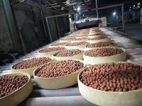 China Colorful Balls for Horiculture and Hydroponics Horticutlure Color Ceramsite Clay Balls for sale