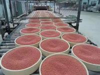 China Hyro Clay Balls Solid Ceramsite Hard Clay Pebbles for Horticulture in Different Sizes for sale