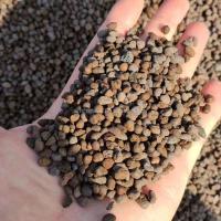 China Stable Small Expanded Ceramsite for Horticulture Affordable Lightweight Brown Balls for sale