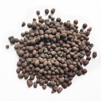 China Stable Small Expanded Ceramsite for Horticulture Affordable Lightweight Brown Balls for sale