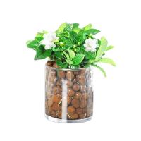 China Lightweight Brown Balls Garden Expanded Ceramsite Horticulture LECA Clay Pellets 50L Bag for sale