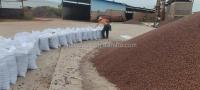 China LECA for Aquaponics Expanded Clay Balls Hydroton for sale