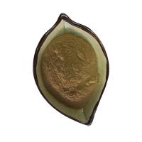 China Gold or Silver Vermiculite Expanded for Gardening and Landscaping for sale