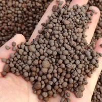China Bulk Density 250-450kg/M3 Lightweight Ceramsite for Horticulture and Gardening Needs for sale