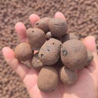 China Bulk Density 250-450kg/M3 Lightweight Ceramsite for Horticulture and Gardening Needs for sale