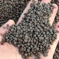 China Hydroponic LECA for Horticulture Lightweight Brown Balls at Affordable Prices for sale