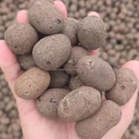 China Hydroponic LECA for Horticulture Lightweight Brown Balls at Affordable Prices for sale