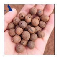 China LECA for Gardening and Horticulture Bulk Density 250-450kg/M3 Hydroponics LECA Balls for sale