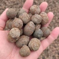 China LECA for Gardening and Horticulture Bulk Density 250-450kg/M3 Hydroponics LECA Balls for sale
