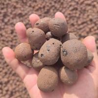 China 8-16mm LECA Balls Clay Balls for Hydroponics 10-30mm LECA for buiding China Supplier for sale