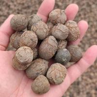 China 8-16mm LECA Balls Clay Balls for Hydroponics 10-30mm LECA for buiding China Supplier for sale