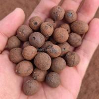 China LECA Soilless Culture Media Lightweight Brown Balls for horticulture for sale