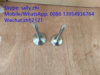 China sdlg inlet valve 4110000054096/12159606  for Weichai Deutz TD226B WP6G125E22, weichai engine parts for sale for sale