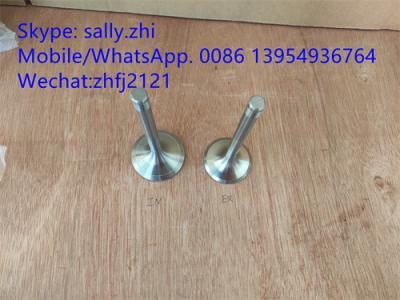 China sdlg inlet valve 4110000054096/12159606  for Weichai Deutz TD226B WP6G125E22, weichai engine parts for sale for sale