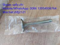 China sdlg inlet valve 4110000054096/12159606  for Weichai Deutz TD226B WP6G125E22, weichai engine parts for sale for sale
