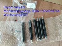China original fuel injector, 4110000054219, engine spare parts  for deutz engine TD226B-6G for sale