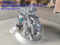 China injection pump 4110000991002 /13053063  for Weichai Deutz TD226B WP6G125E22, weichai engine parts for sale