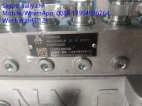 China injection pump 4110000991002 /13053063  for Weichai Deutz TD226B WP6G125E22, weichai engine parts for sale
