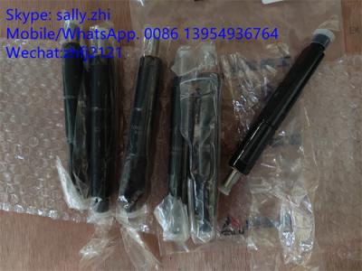 China SDLG injector 4110000991004 /13053066  for Weichai Deutz TD226B WP6G125E22, weichai engine parts for sale for sale